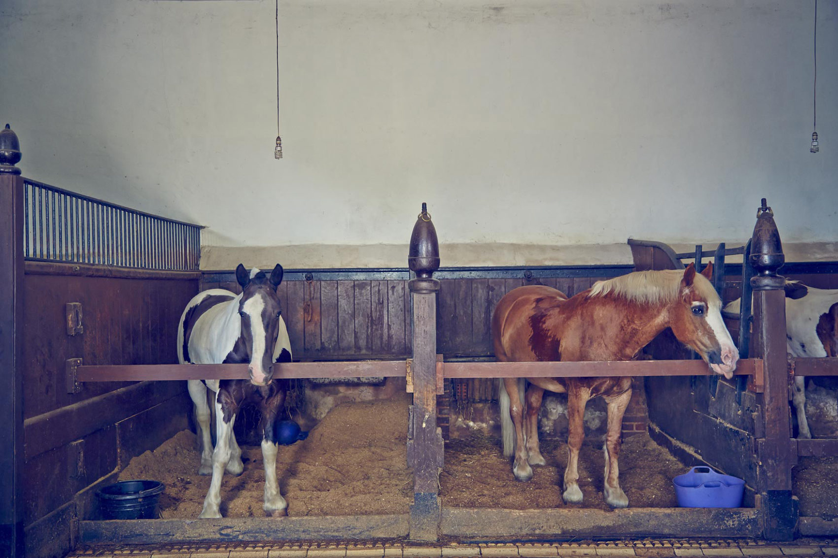 Ham Stables Photoshoot | By Robert Wilson