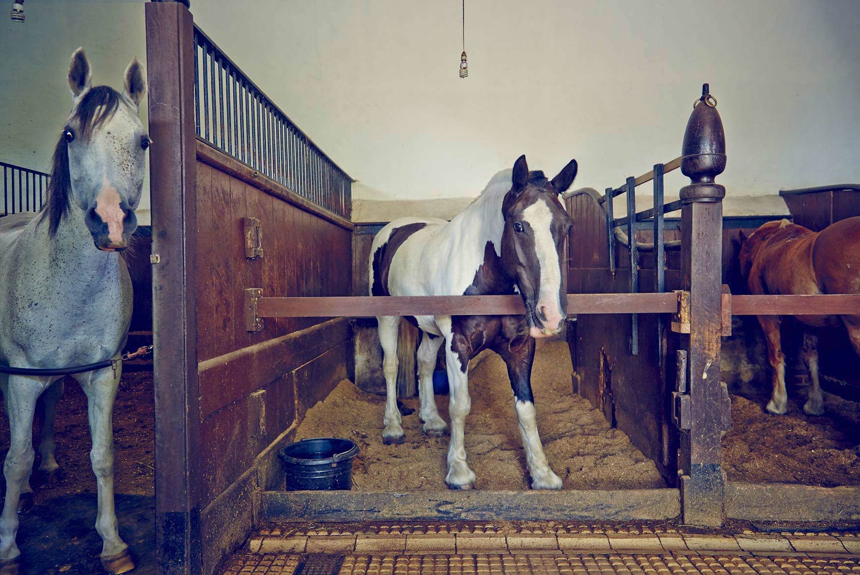 Ham Stables Photoshoot | By Robert Wilson