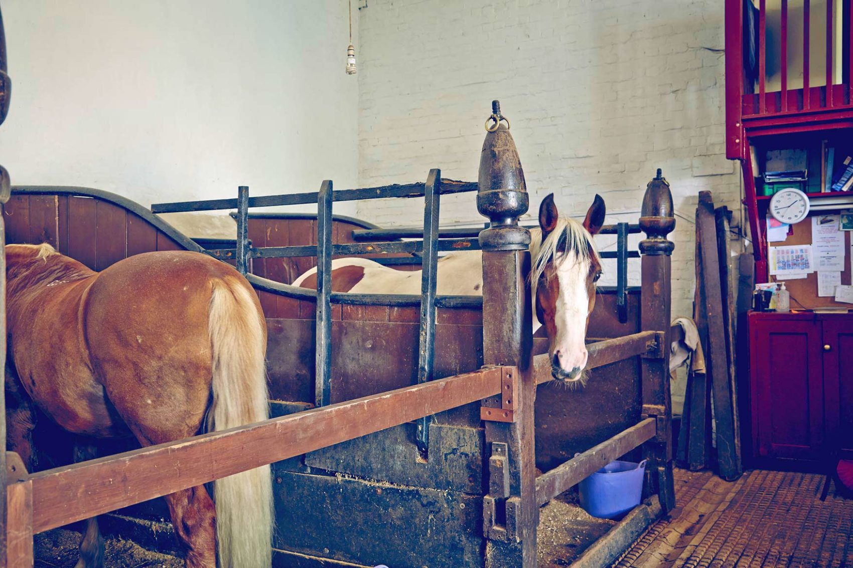 Ham Stables Photoshoot | By Robert Wilson