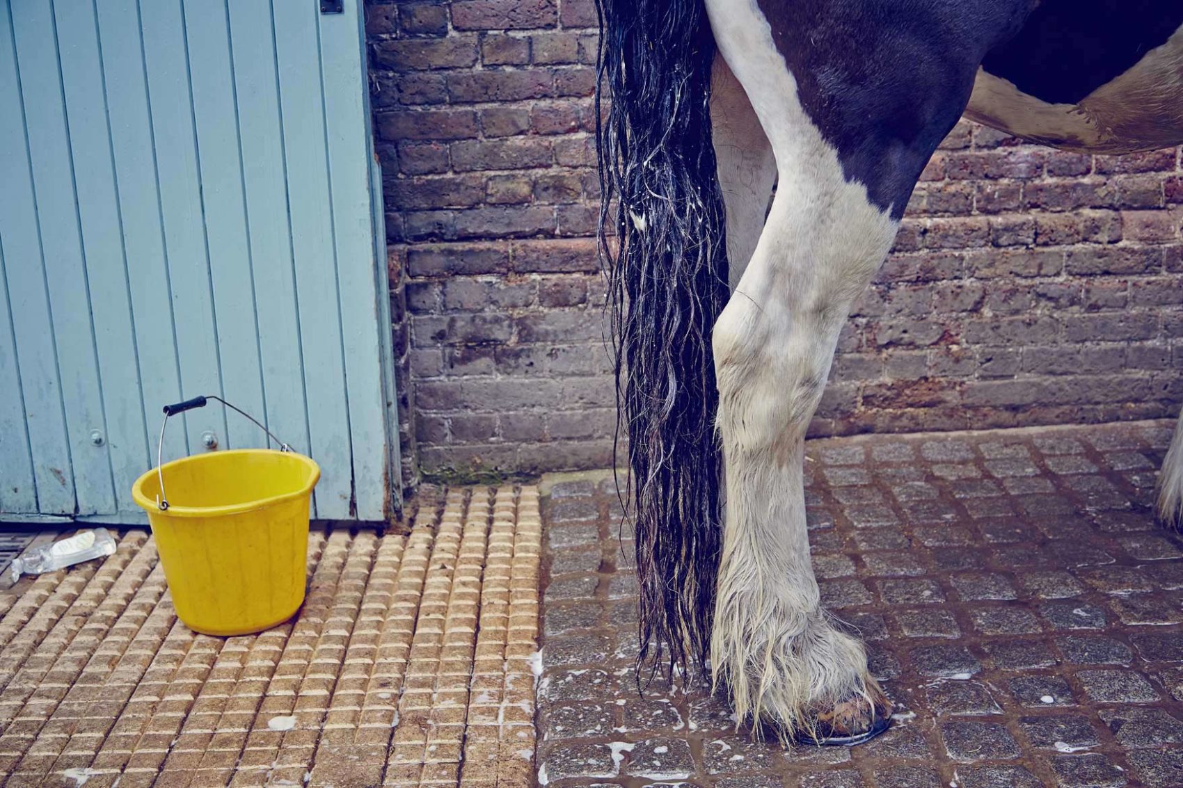 Ham Stables Photoshoot | By Robert Wilson